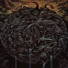 Tapered Limbs of a Human Star | HIVELORDS