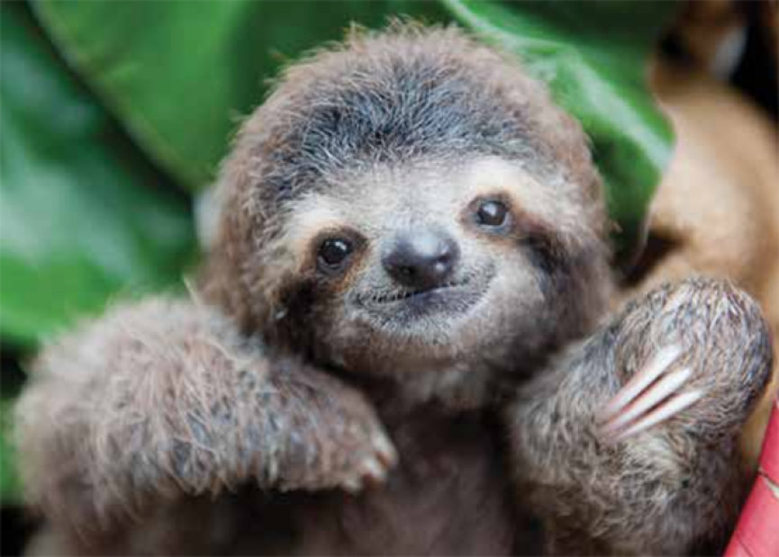 A202 Final Mastering | A202 Final