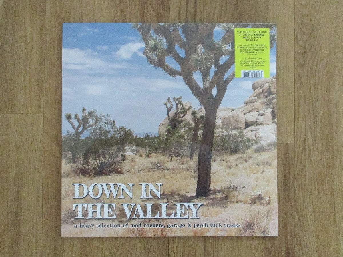 Down In The Valley | V/A | perfecttoyrecords