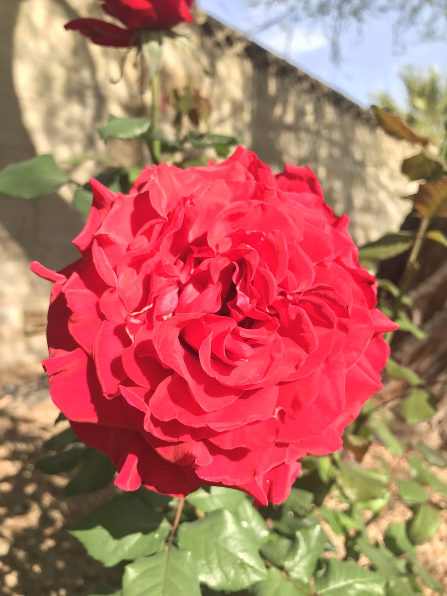 Listen to It | Slackerman