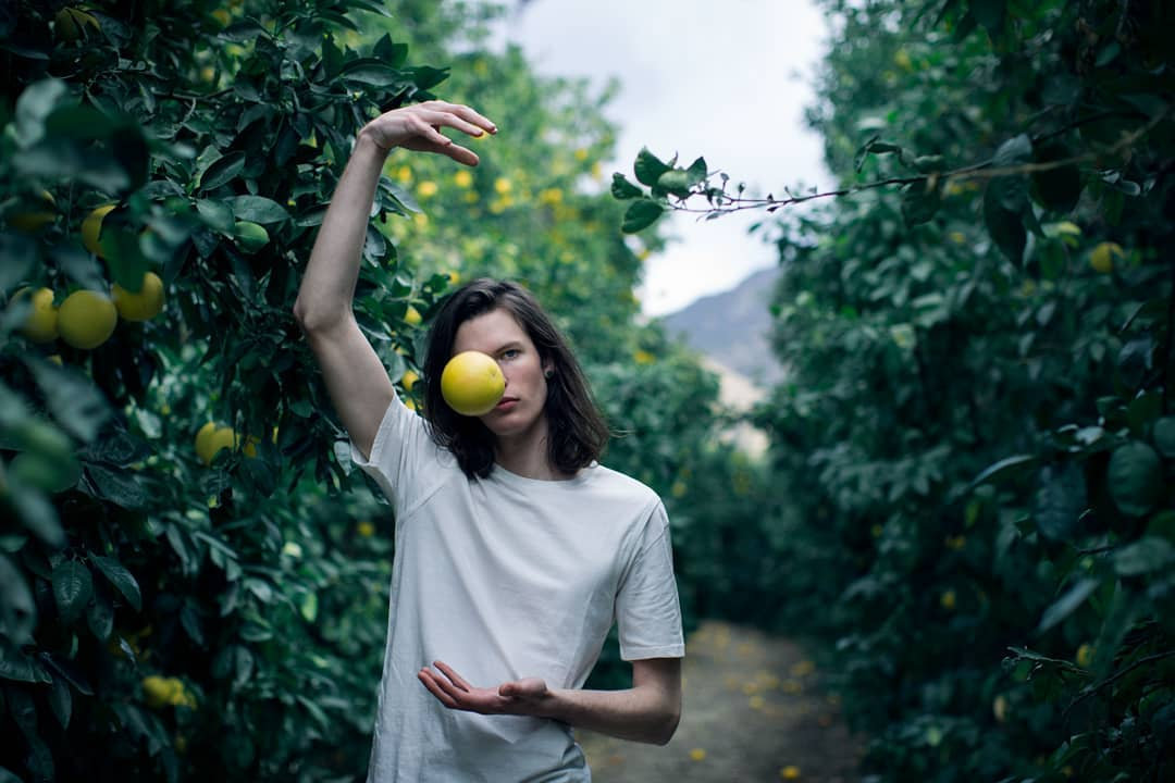 False Nature | American Aloe