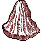 How To Run Away | Slow Magic