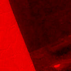 Only Dust Remains | Backxwash