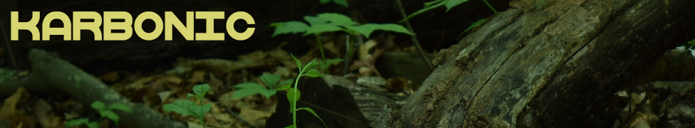 Psychopomp Original Soundtrack: Volume 1 | Karbonic