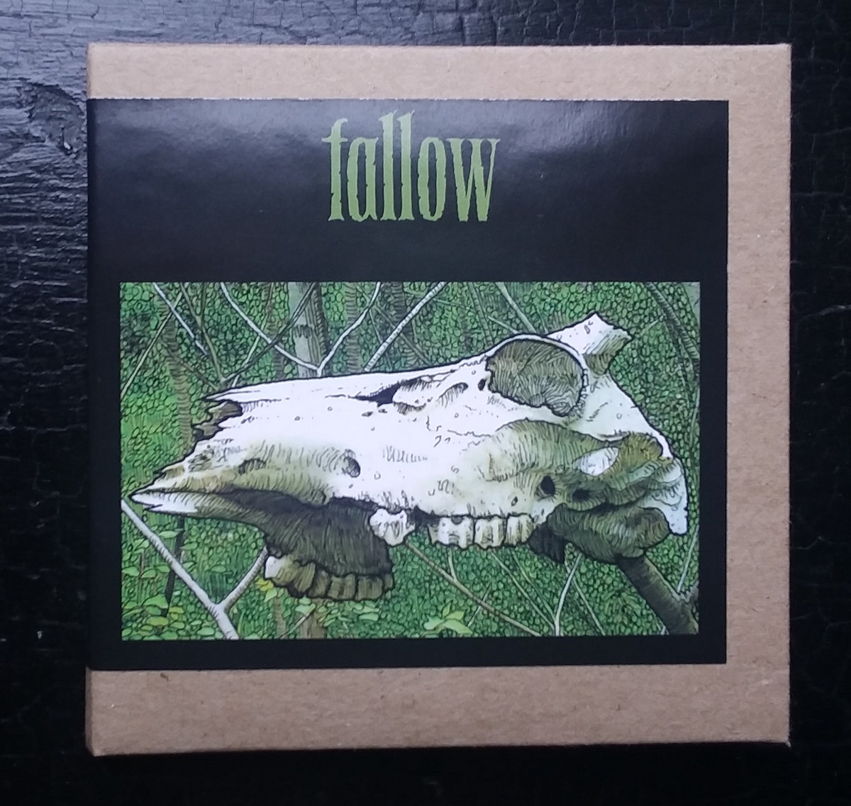 Fallow | Timothy Renner | Stone Breath