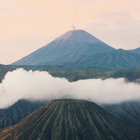 Lamagaia | Lamagaia