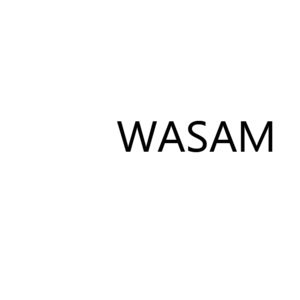 Music | Wasam
