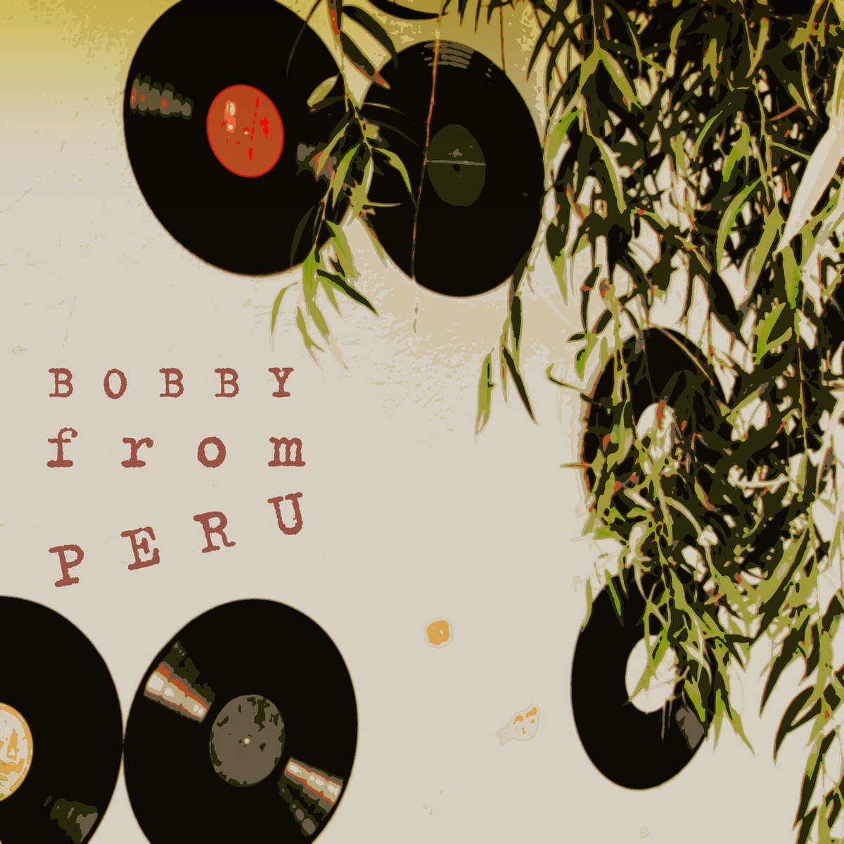 Macrowaves | Bobby from Peru