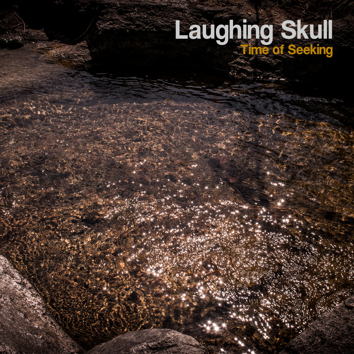 Music | Laughing Skull