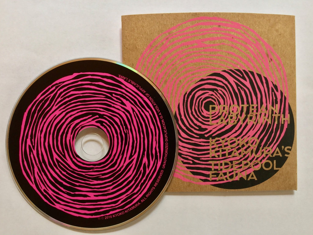 Album of the Day: Kyoko Kitamura, “Protean Labyrinth” | Bandcamp Daily