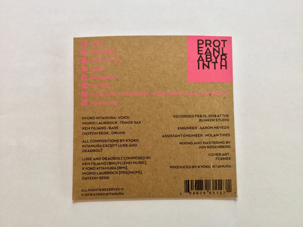 Album of the Day: Kyoko Kitamura, “Protean Labyrinth” | Bandcamp Daily