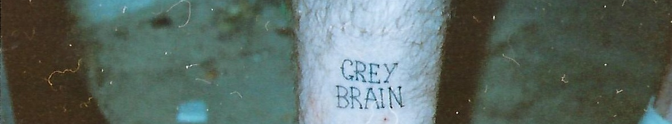 Grey Brain EP | Grey Brain