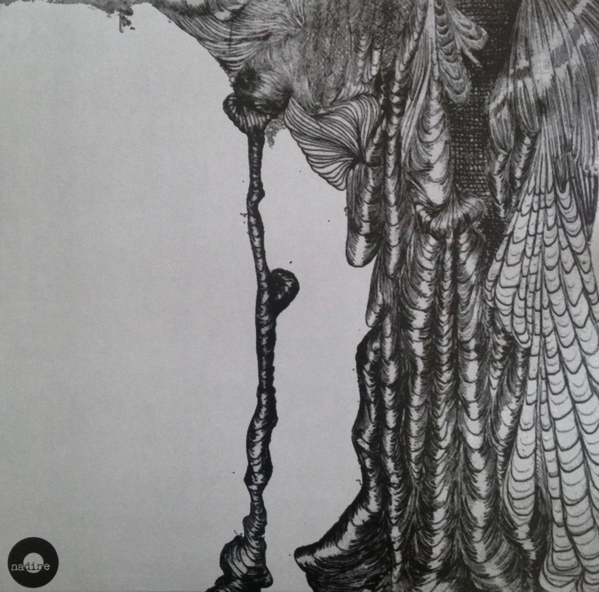 Stress Position | Stress Position