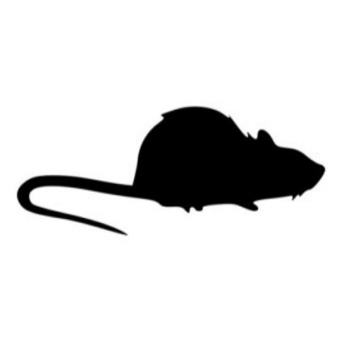 Sparrow EP | [symbolic] | Lab Ratz