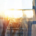 beets 2 | Birocratic