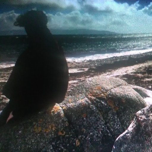 paintbrushes EP | Revin Goff