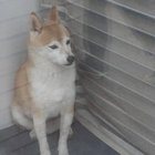 SOULJA LUV RARI WORLD | BLACK KRAY AKA SICKBOYRARI