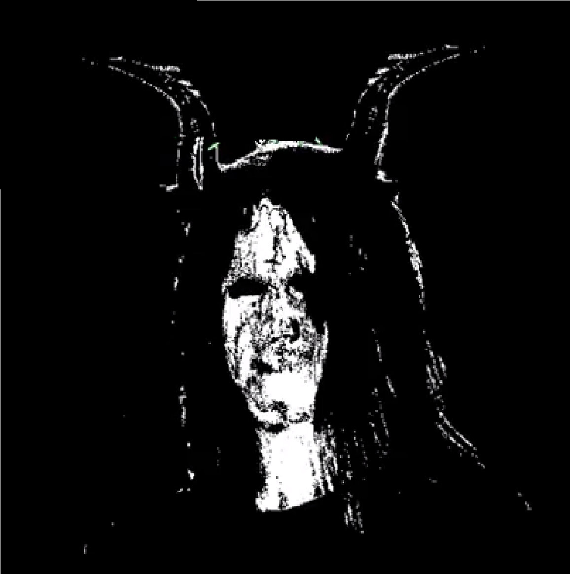 1 SONG ALBUM Sadphomet The devil has risen from hell | Sadphomet