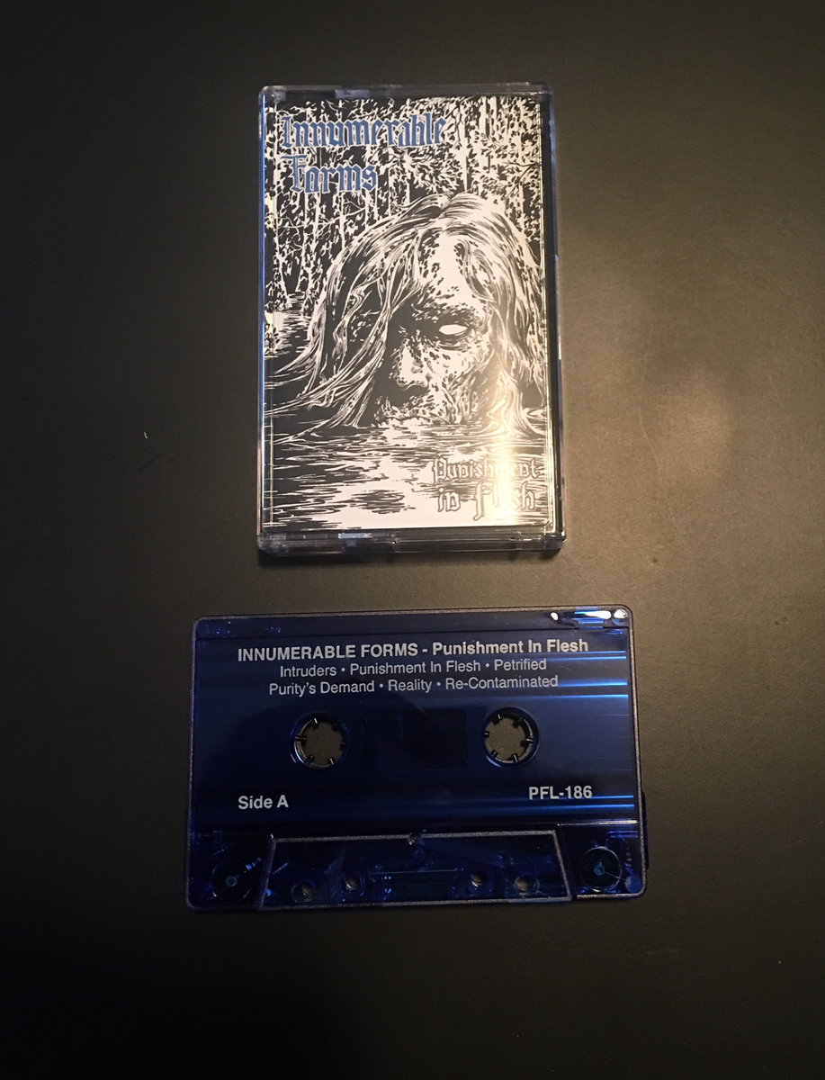 Firmament | INNUMERABLE FORMS | Innumerable Forms