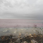 Menashe | Aaron Martin & Dag Rosenqvist | From the Mouth of the Sun