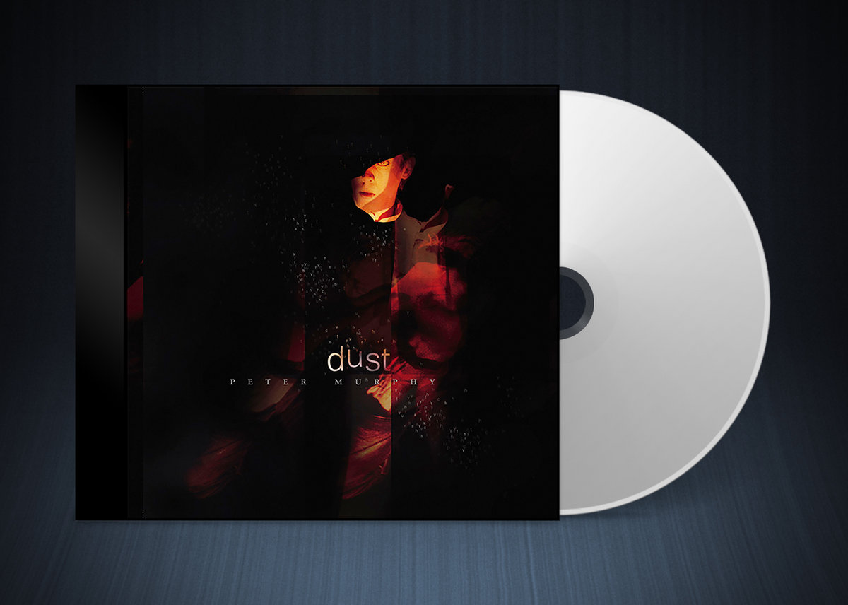 Dust | Peter Murphy