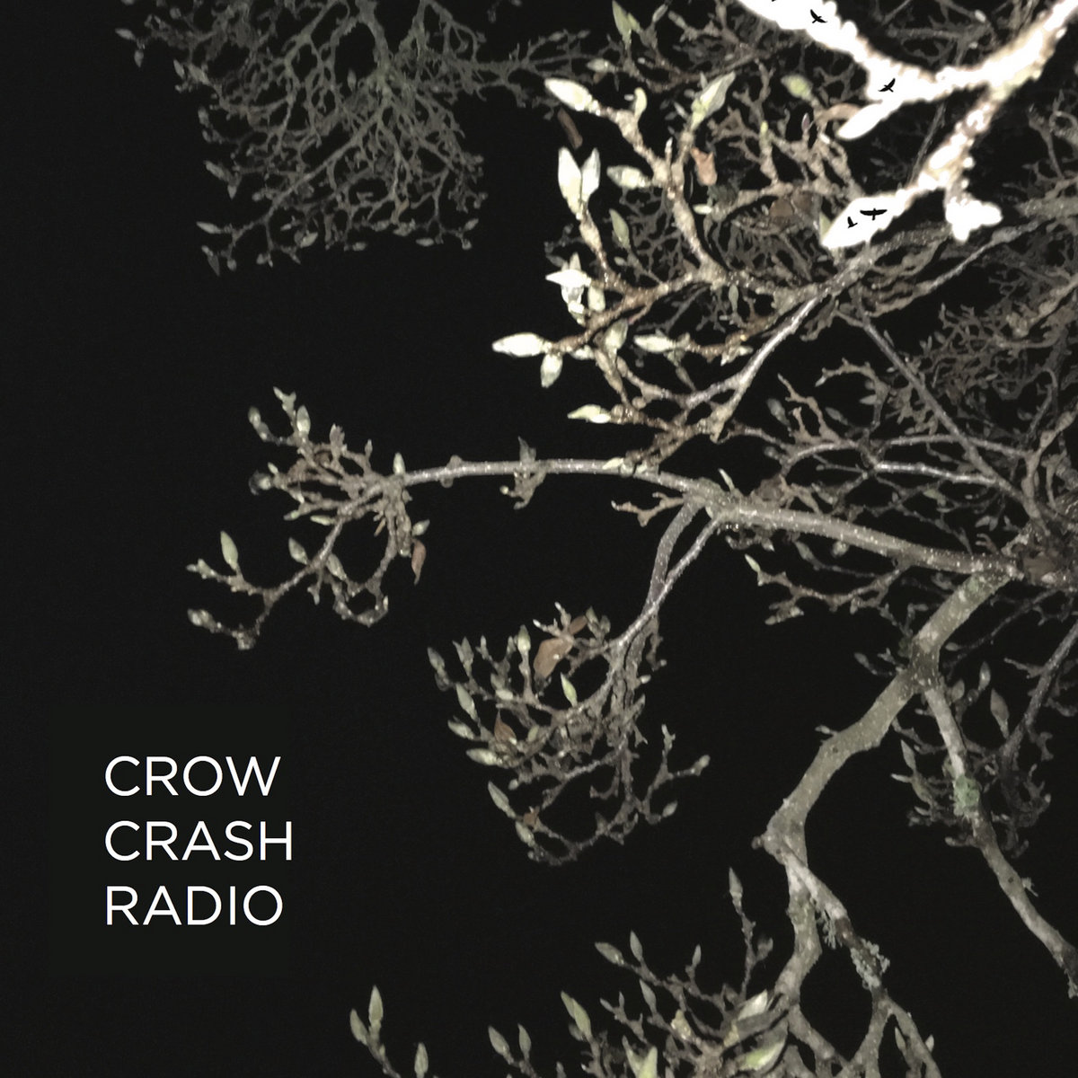 CROW CRASH RADIO | Crow Crash Radio
