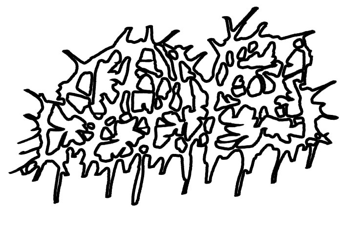 40 Untitled Weed Wacks | Cane Dewey