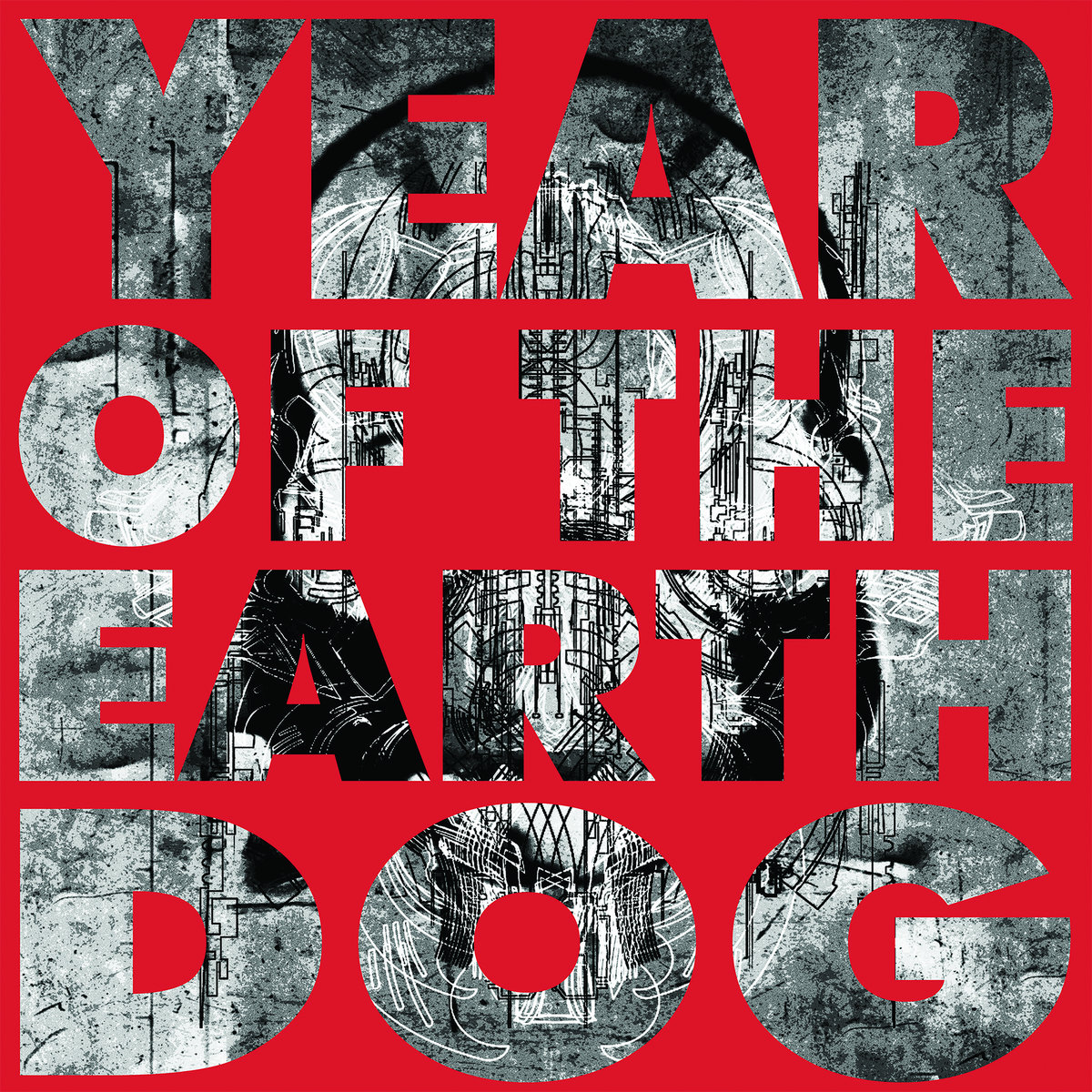 YEAR OF THE EARTH DOG | Year of the Earth Dog