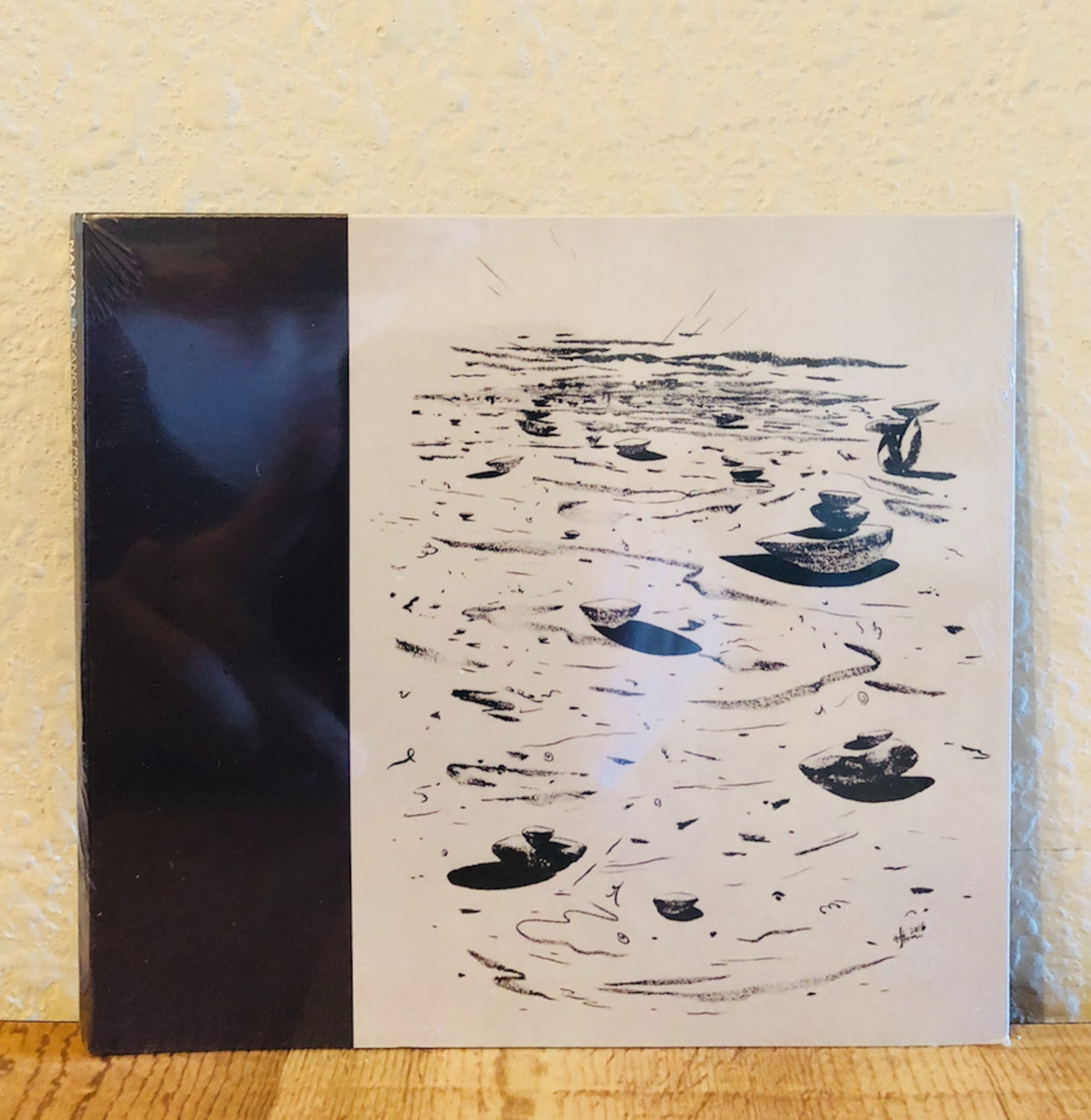 Bokanovsky's Process | Nakata | Patrick Shiroishi