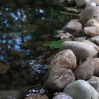 Program 893 | Mitch Murder