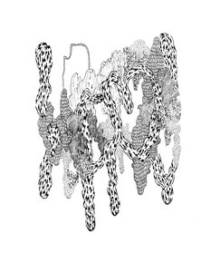 Music | Gerard Carson