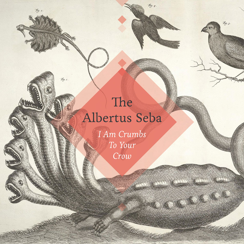 I Am Crumbs To Your Crow | The Albertus Seba