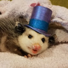 Lesser Man (extended version) | Boy Harsher