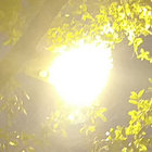 NIGHTLIFE | YURAGI (揺らぎ) | Sango Records