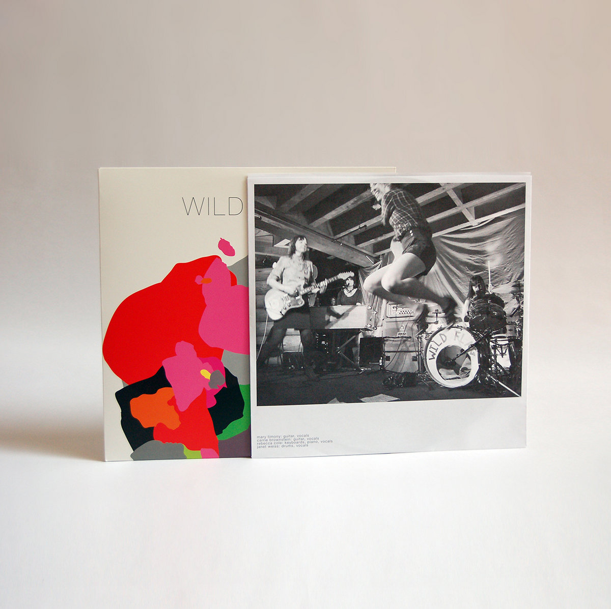 Wild Flag | Wild Flag