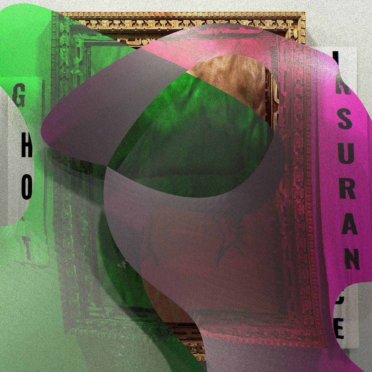 CatDog Iguana | Ghost Insurance