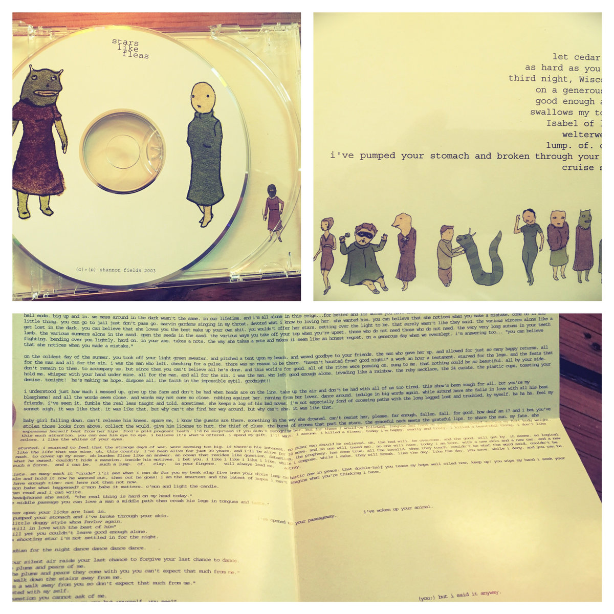 Sun Lights Down On The Fence | Stars Like Fleas