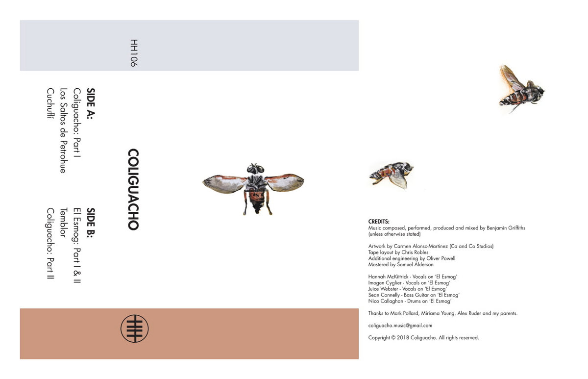 thadabwizard's collection | Bandcamp