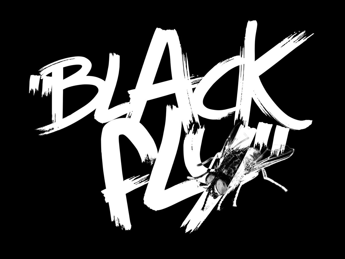 Black fly - Planet | Black fly