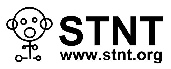 LESION ETRANGE s/t (STNT 007) | STNT.org