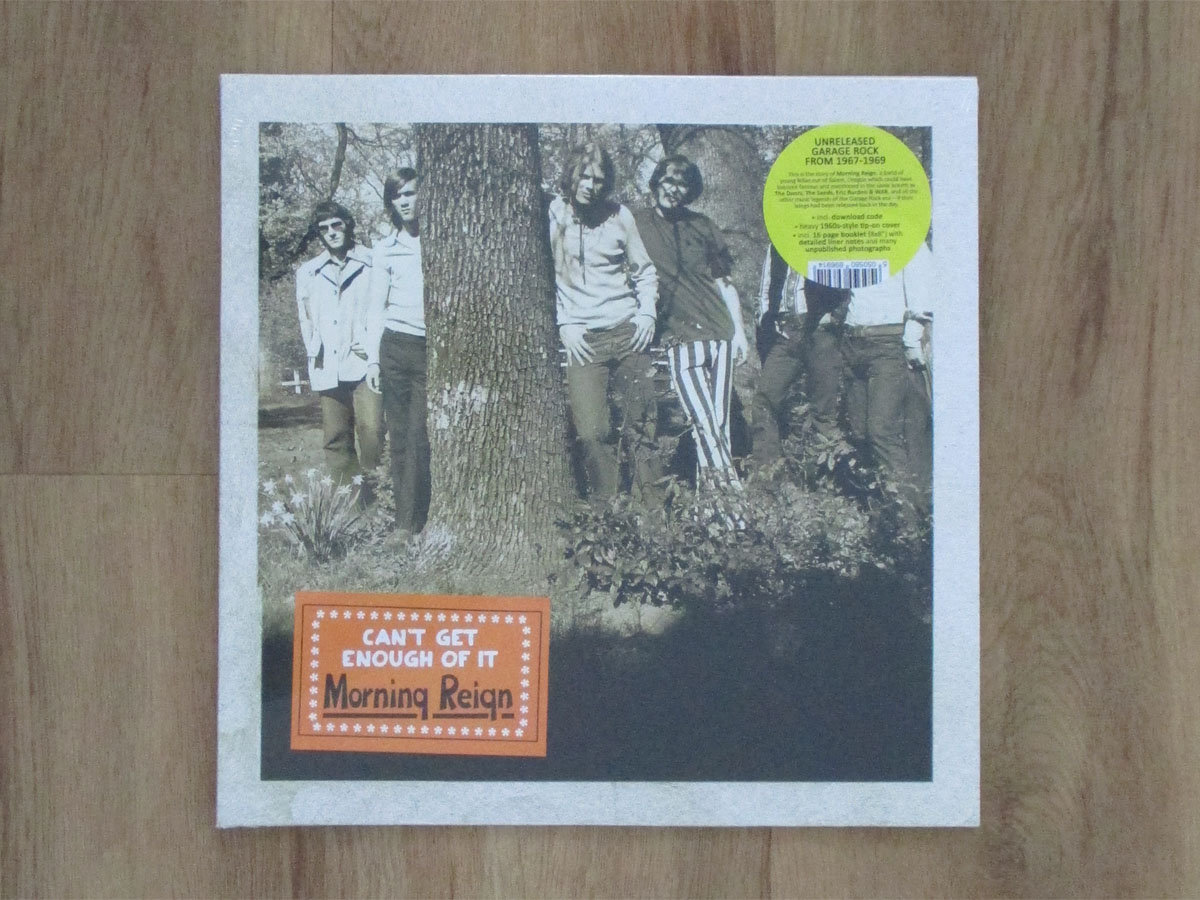 Can't Get Enough Of It | Morning Reign | perfecttoyrecords