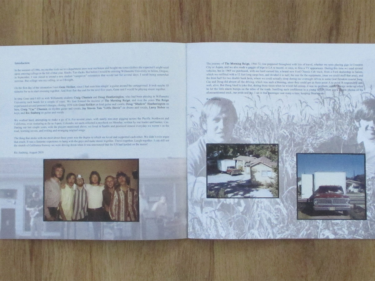 Can't Get Enough Of It | Morning Reign | perfecttoyrecords