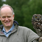 Blazing Revelations | Dominic Sanderson