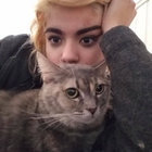 EURINGER | Mindless Self Indulgence