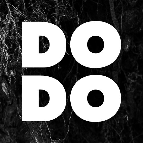 Fuck Demo | Donald Dong