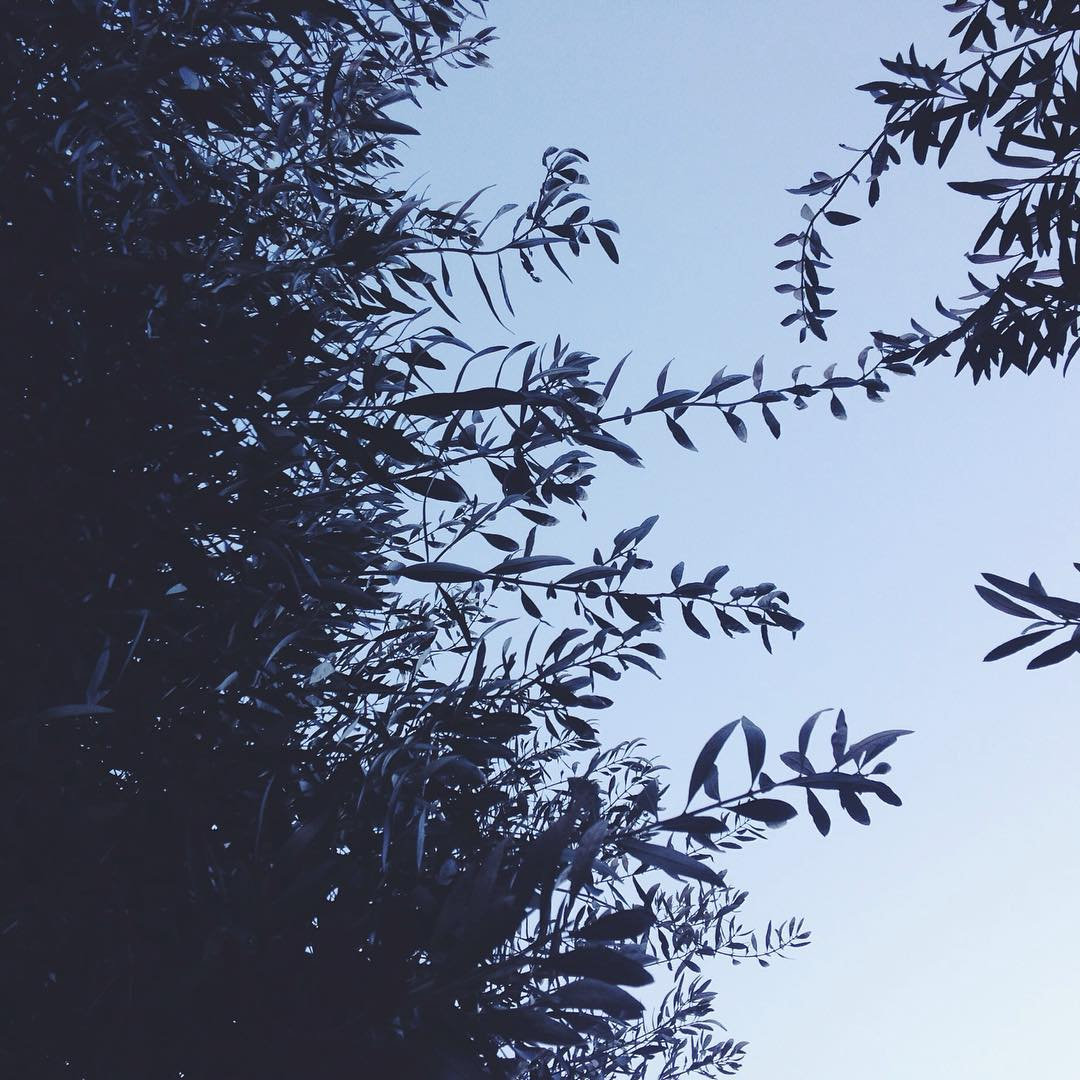 sneeze // aerosolOne | josef telmet