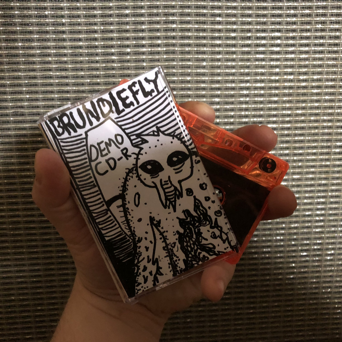 DEMO CD-R | BRUNDLEFLY