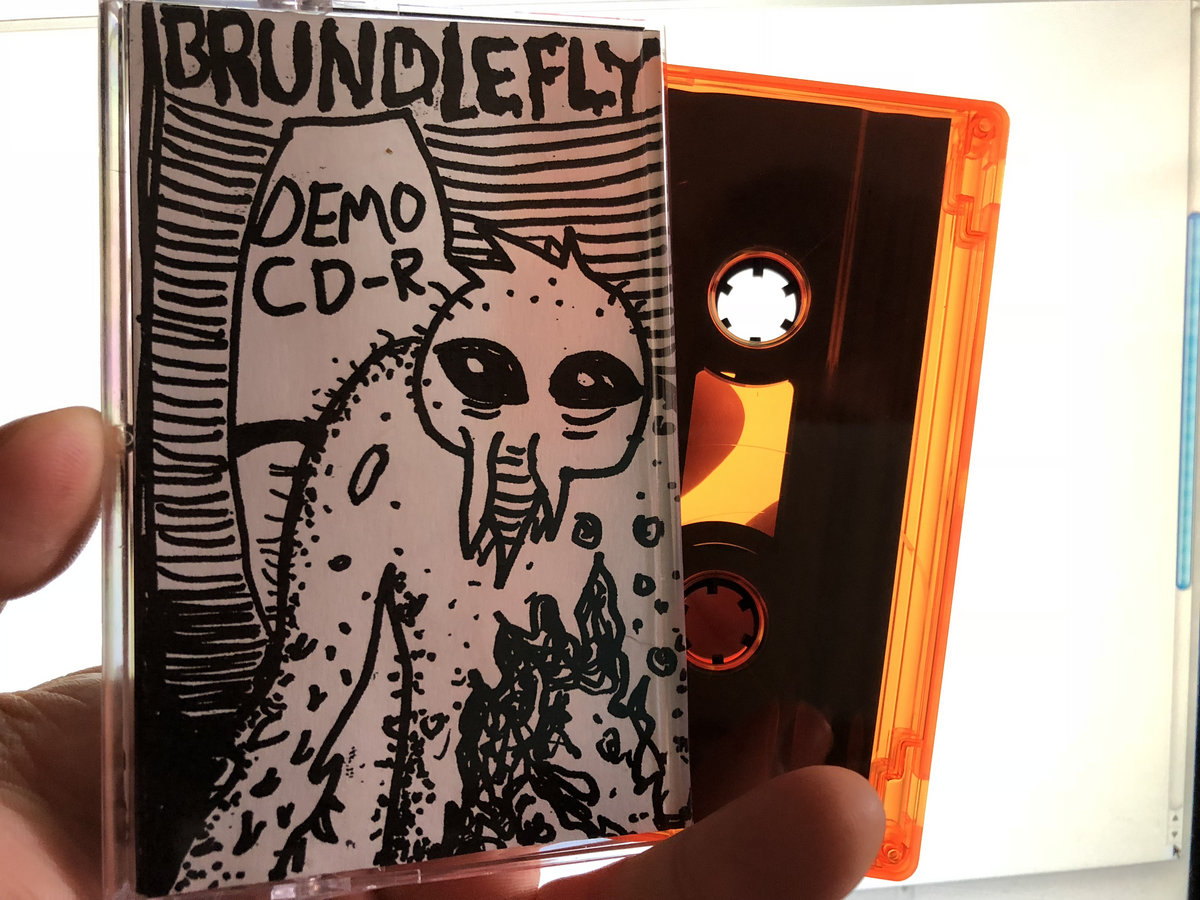 DEMO CD-R | BRUNDLEFLY