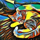 Music For Cats | cEvin Key