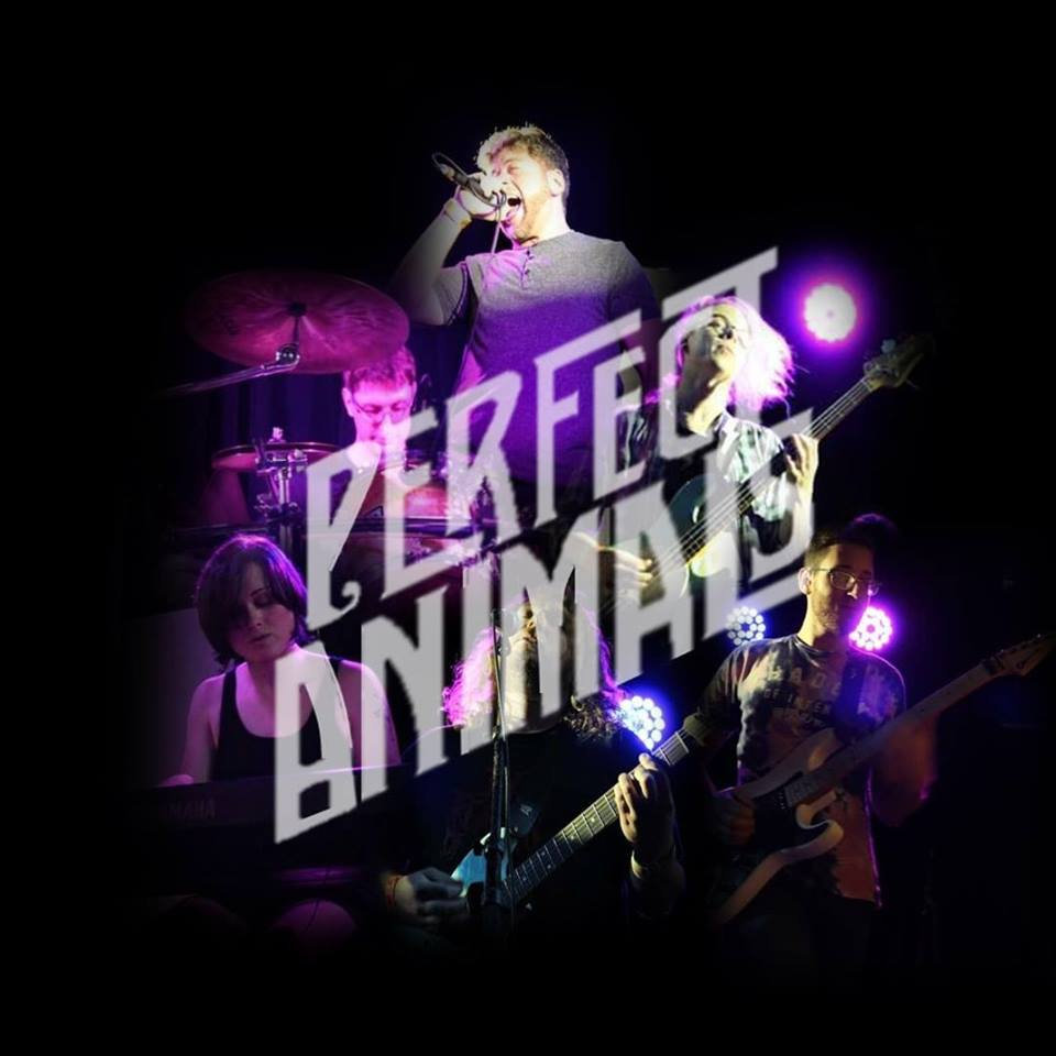 Christopher | Perfect Animals
